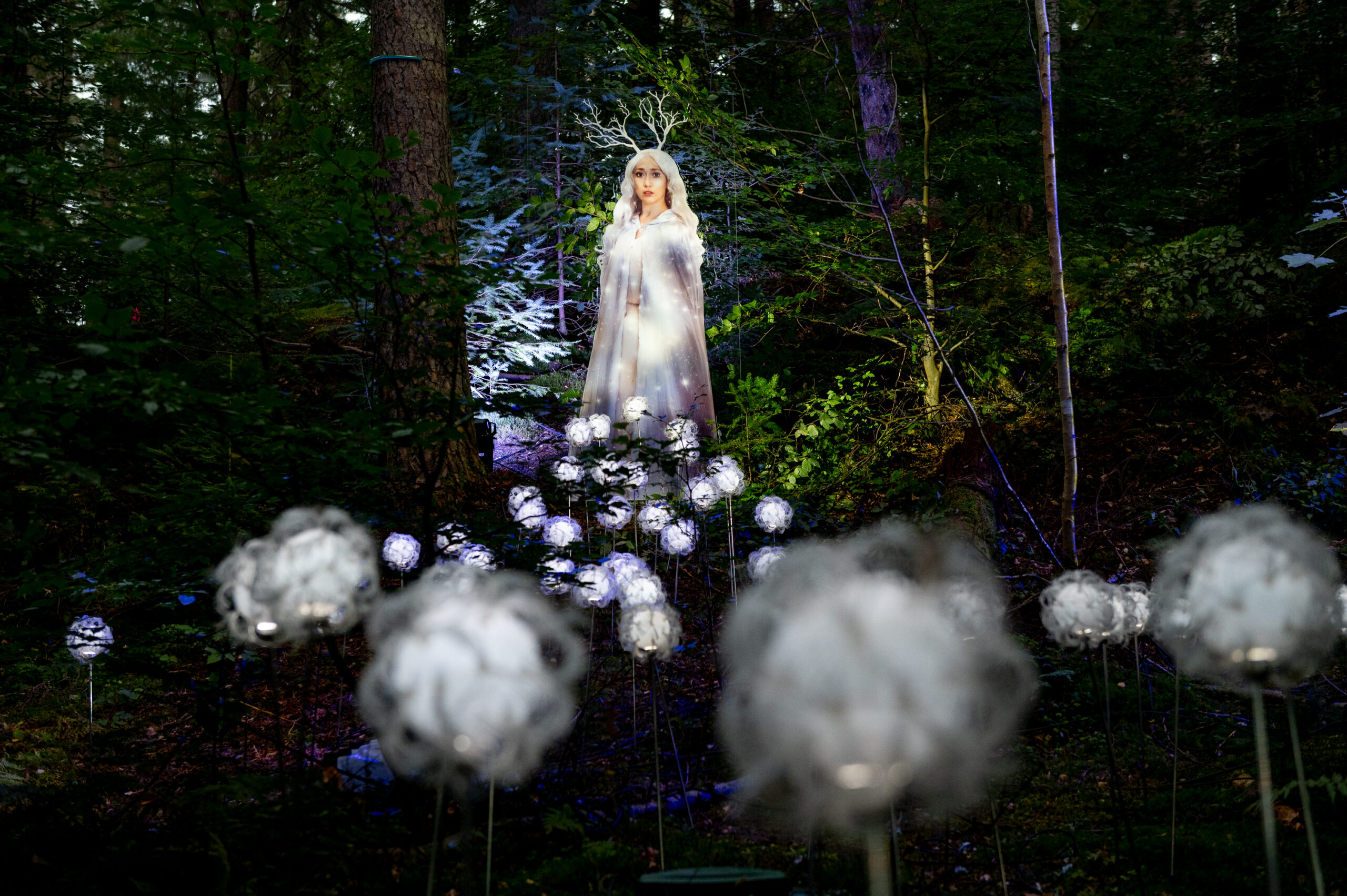 A Magical Experience at Enchanted Forest 2024: Symphony of Nature ...